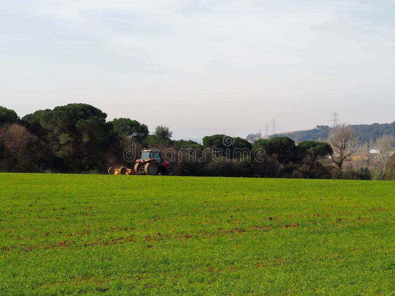 Tractor Working in Field with Trees Behind Stock Photo - Image of grass ...