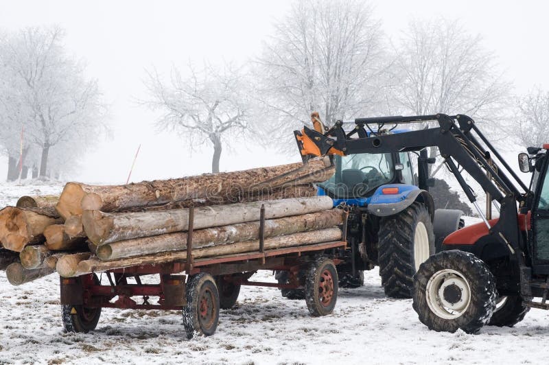 Tractor Working with Tree Trunks Stock Image - Image of lumberyard ...
