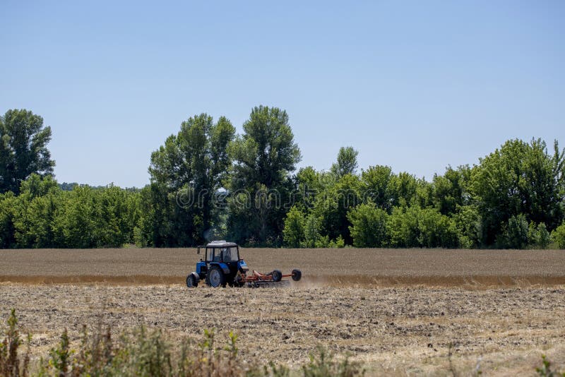 The Tractor Works in the Wheat Field Stock Image - Image of farming ...