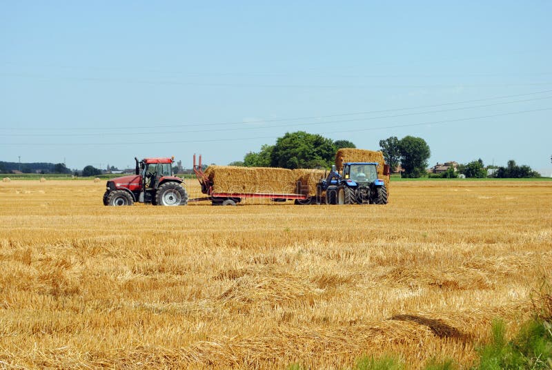 Tractors load bales of hay stock photo. Image of square - 25724568