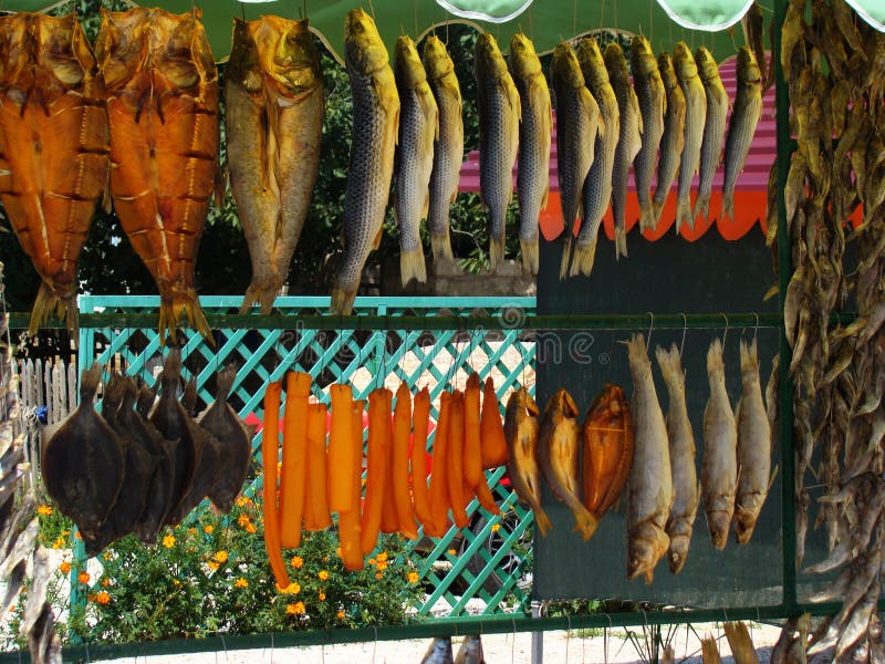 Trade of fish stock photo. Image of fish, tarnica, food - 58028420