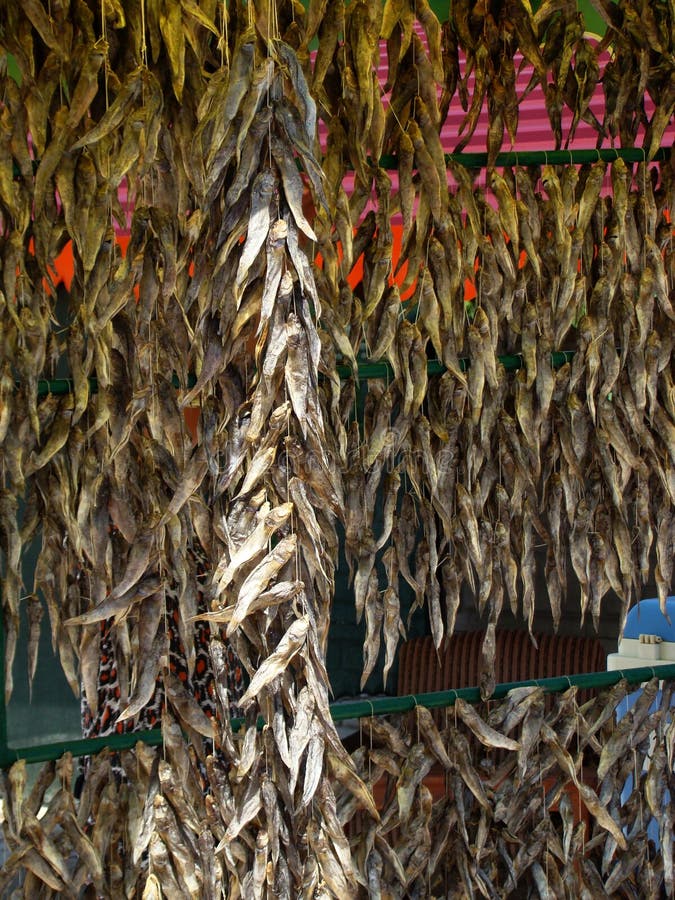 Trade of fish stock image. Image of fish, dried, tree - 58028491