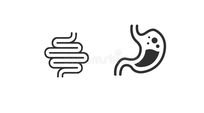 Stomach and Digestive System Icon. Vector Isolated Editable ...