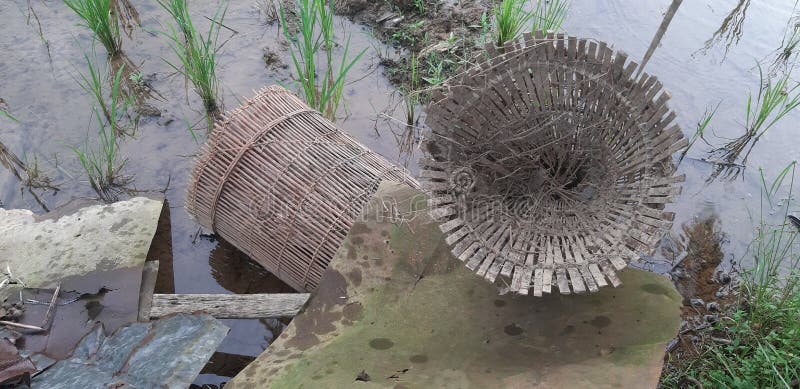 The Tradition Fish Catcher Bubu Stock Photo - Image of catcher ...