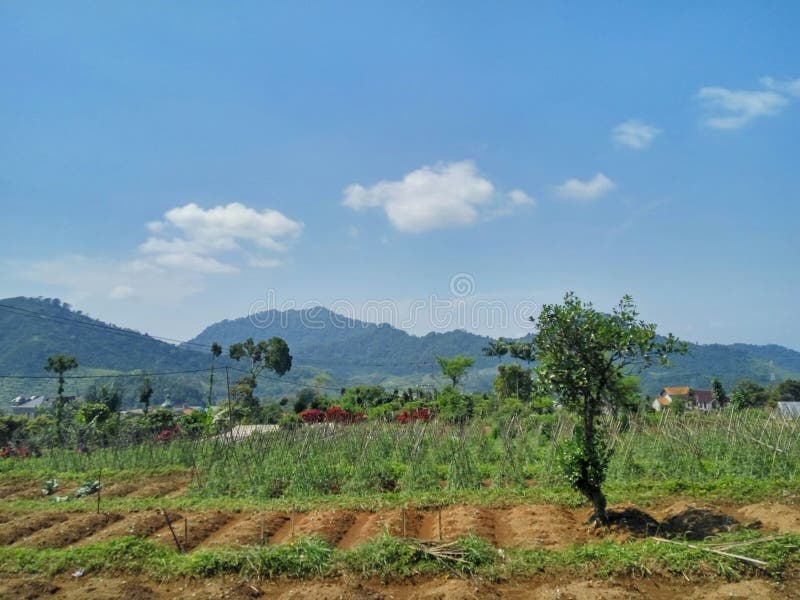 Traditional Agricultural Land at the Foot of the Stock Image - Image of ...