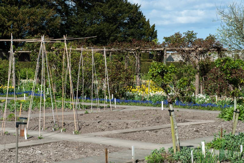 Plots in the Allotment, with Greenhouses and Other Buildings . Stock ...