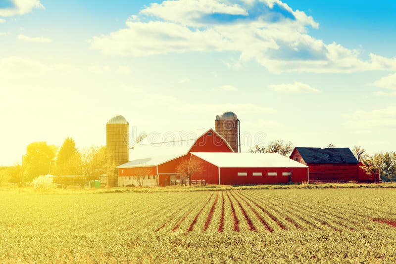 Traditional Farm stock image. Image of farm, natural - 26071027
