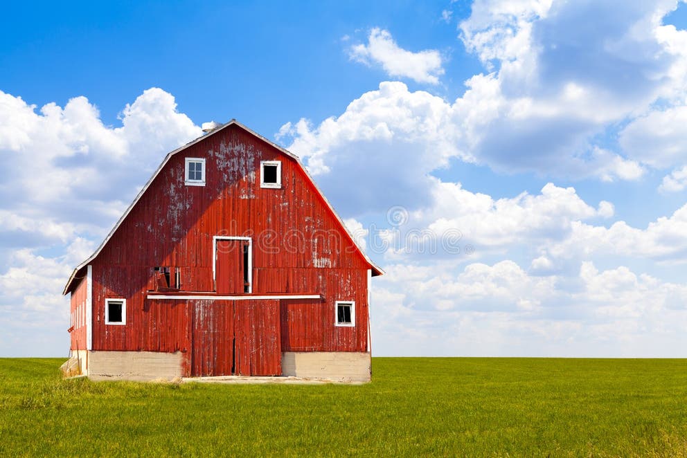 Traditional American Red Barn Stock Photo - Image of nature, cattle ...