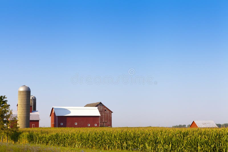 Traditional American Red Farm Stock Image - Image of clean, agriculture ...
