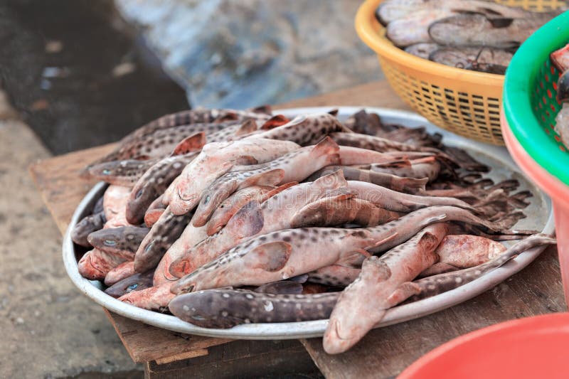 Traditional Asian Fish Market Stock Photo - Image of calamari, eating ...