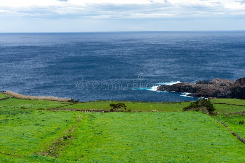 Azorean Green Fields Bordered by Stone Walls, Overlooking the Atlantic ...