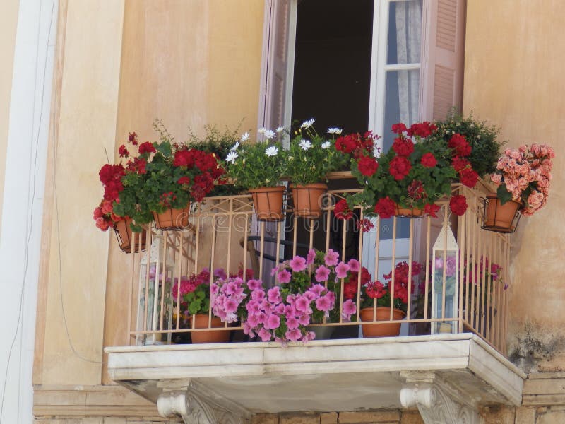 Traditional Balcony, New Orleans Stock Photo - Image of growing ...