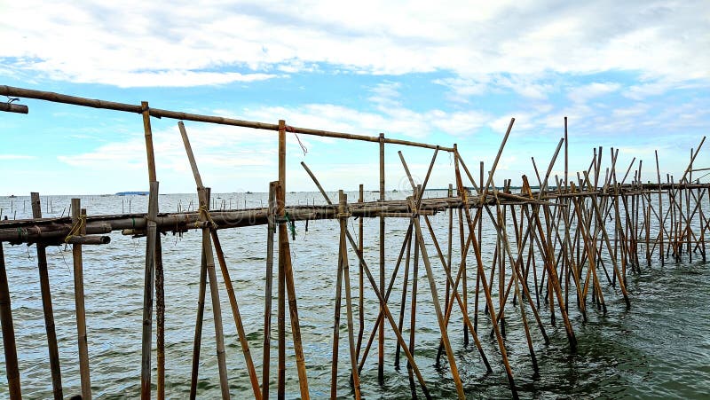 A Traditional Bamboo Bridge Stretches Over Calm Sea Waters Stock Image - Image of wetland, scene ...