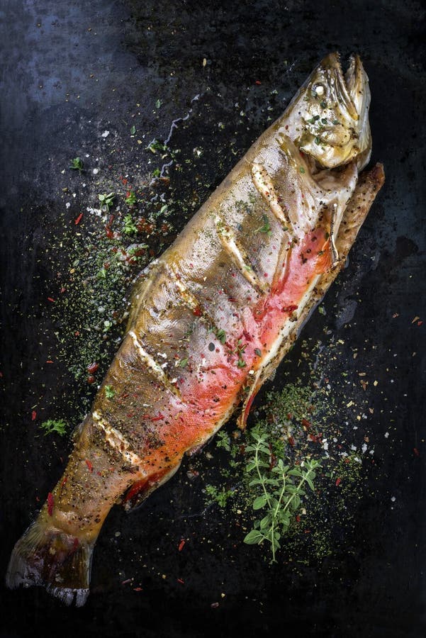 Mackinaw Fish Stock Photos - Free & Royalty-Free Stock Photos from ...