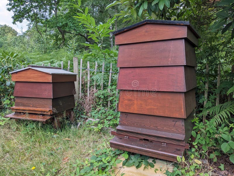 The Traditional Bee Hives on the Edge of the Forest Stock Image - Image ...