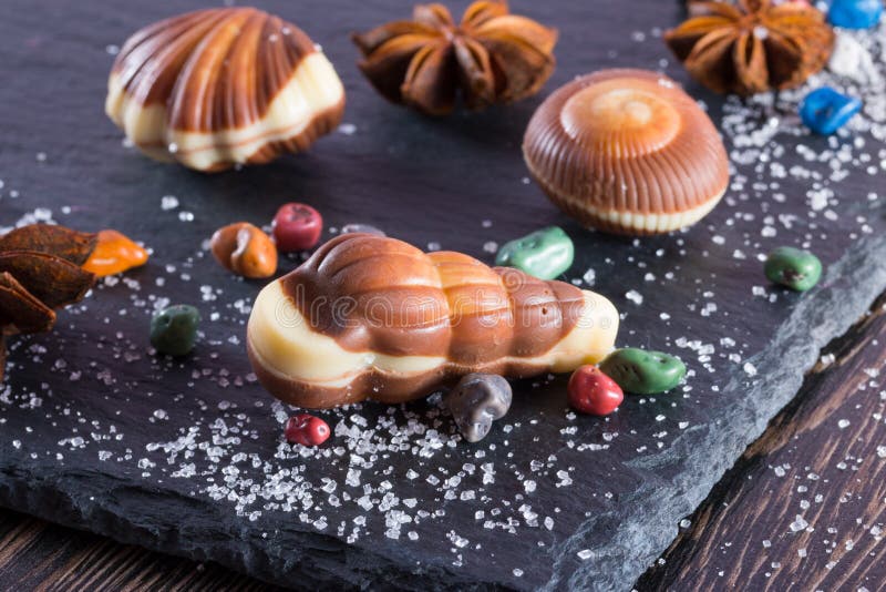 Belgian Sea Shell Chocolates Stock Photo - Image of belgian, hunger ...