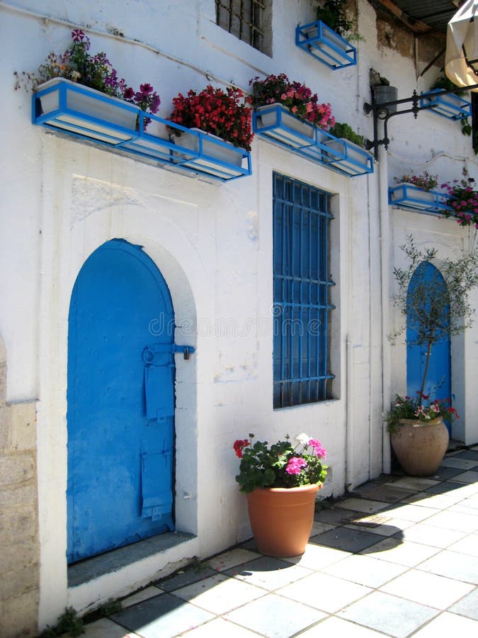 Traditional Blue and White Greek Steps with Flowers Stock Photo - Image ...