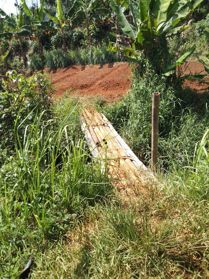 The Traditional Bridge, it Made of Bamboo Stock Image - Image of bridge ...