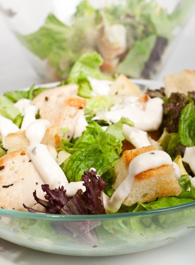 Chicken Caesar Salad stock photo. Image of pastel, blue - 3494376