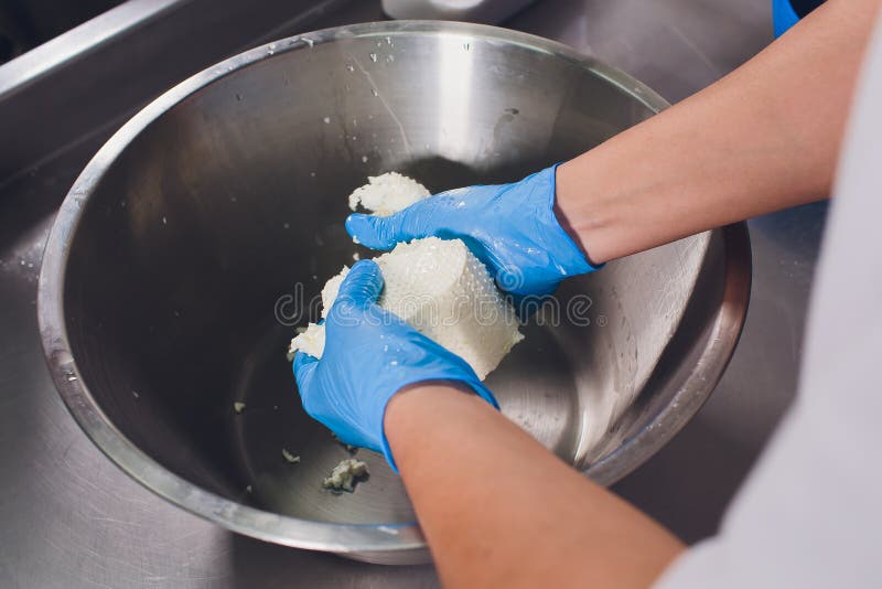 Traditional Cheese Making in a Small Company. Cheese Maker Hands Close ...