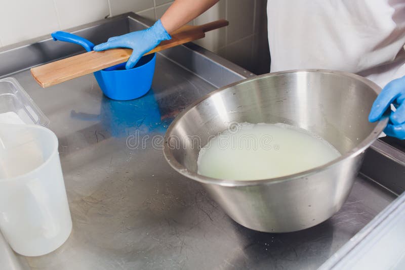 Traditional Cheese Making in a Small Company. Cheese Maker Hands Close ...