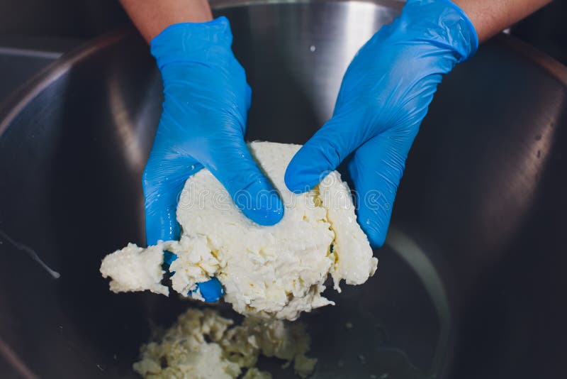 Traditional Cheese Making in a Small Company. Cheese Maker Hands Close ...