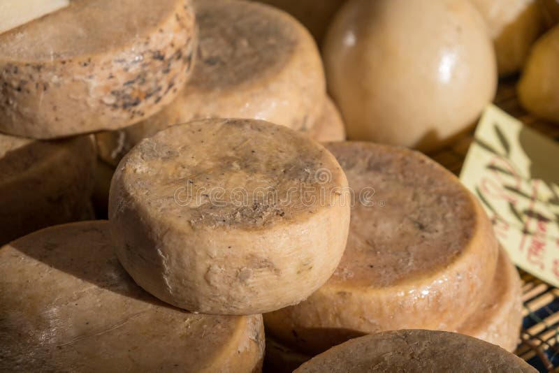 Traditional Cheese with Worms. Banned and Illegal Cheese with Flies and ...