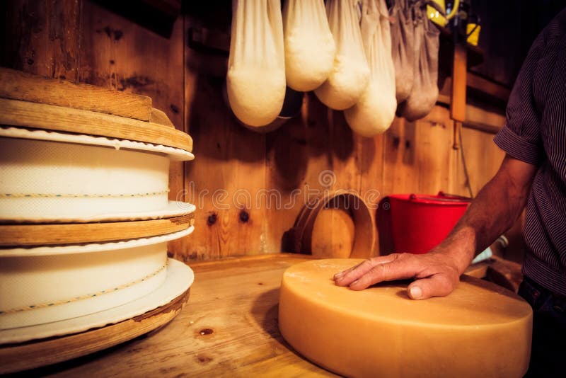 Traditional Cheesemaking stock image. Image of adult - 84257601