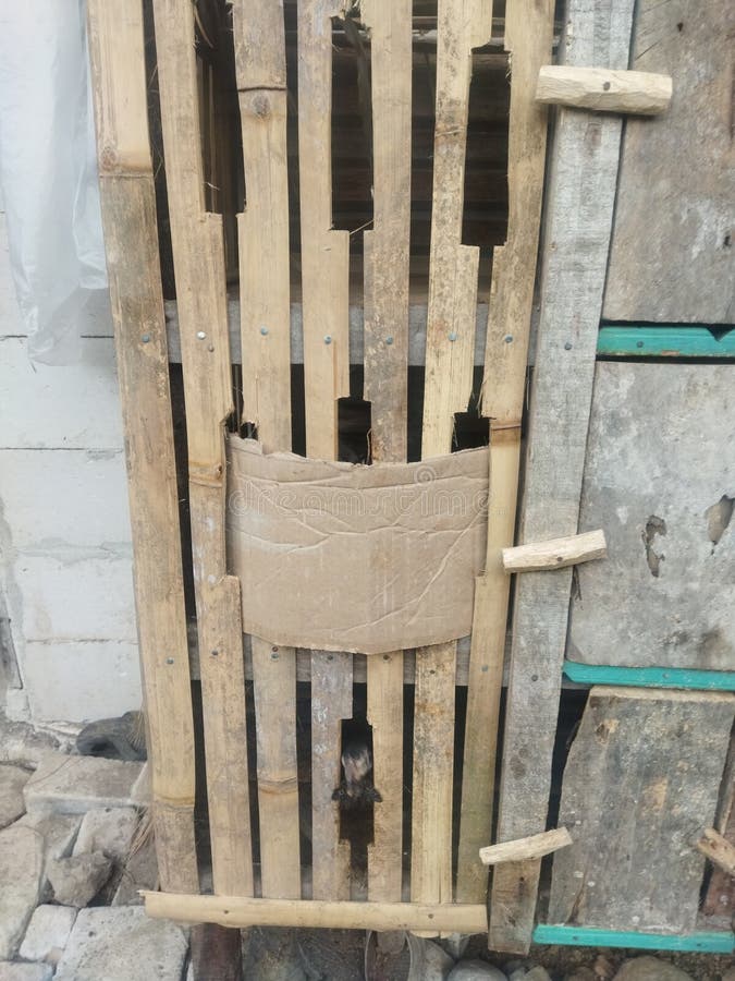 Traditional chiken coop stock photo. Image of coop, animals - 294428538