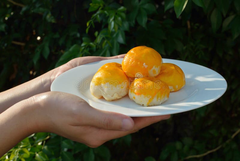 Traditional Chinese cake stock photo. Image of gift, hand - 63814946