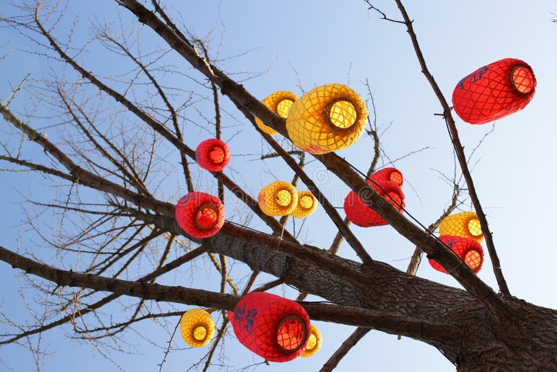 The Traditional Chinese Colored Lanterns on the Tree Stock Photo ...