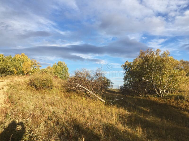 Traditional chinese forest stock image. Image of traditional - 137491697