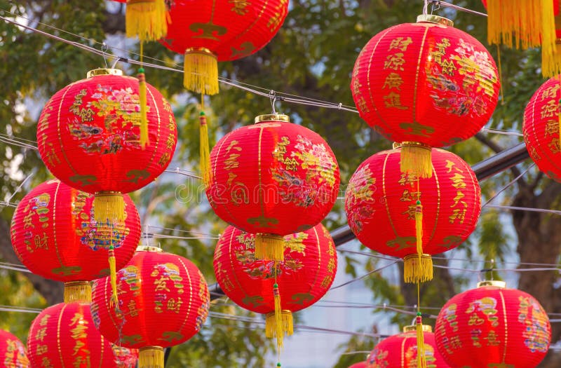 Traditional Chinese Lantern Hanging on Tree in Public Park Stock Image ...
