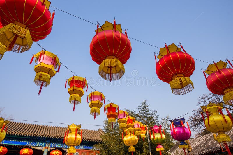 Traditional Chinese Red Lantern Hanging on Tree, Celebrating New Year ...