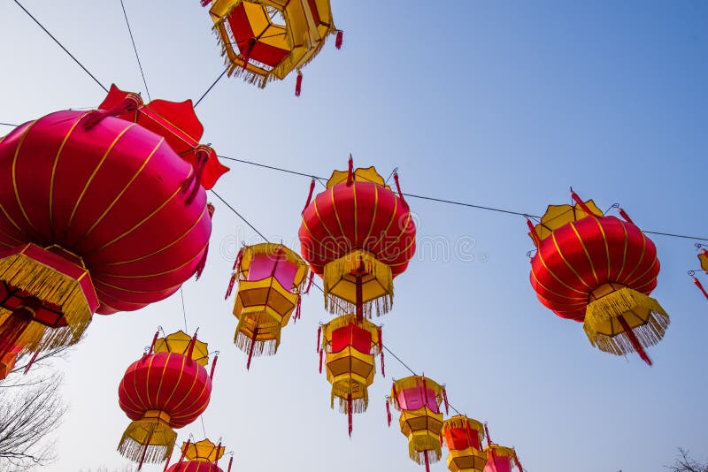 Traditional Chinese Red Lantern Hanging on Tree, Celebrating New Year ...