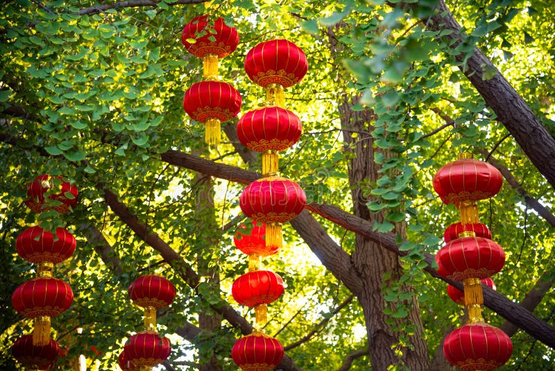Traditional Chinese Red Lantern on Trees, Typical Decoration in Asia ...