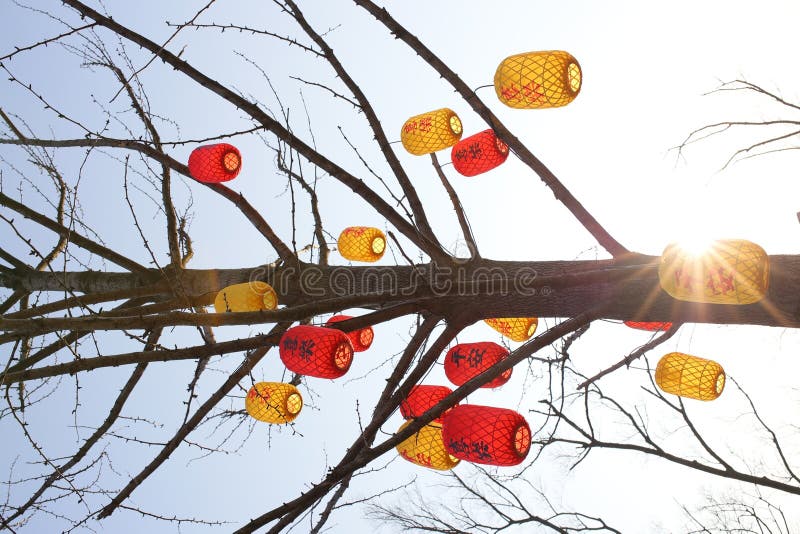 The Traditional Chinese Red Lanterns on the Tree Stock Image - Image of ...