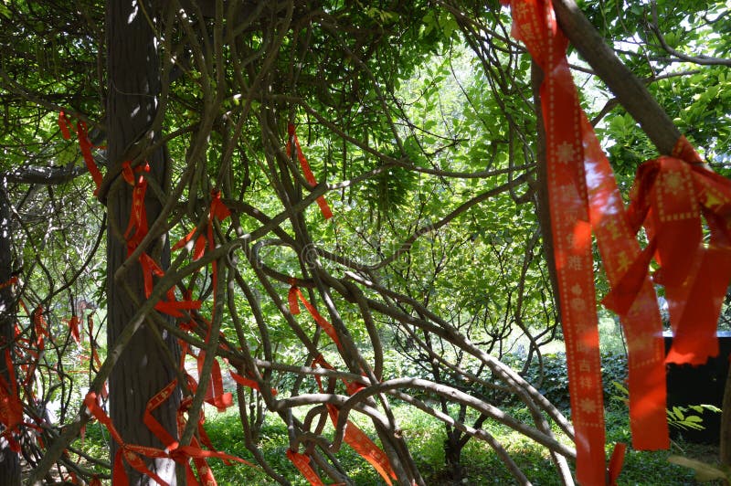 Traditional Chinese Ribbons Stock Photo - Image of amazing, chinese ...