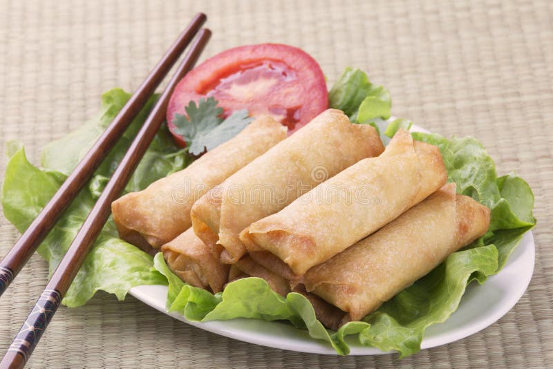 Chinese Spring Rolls stock photo. Image of closeup, deep - 13459540