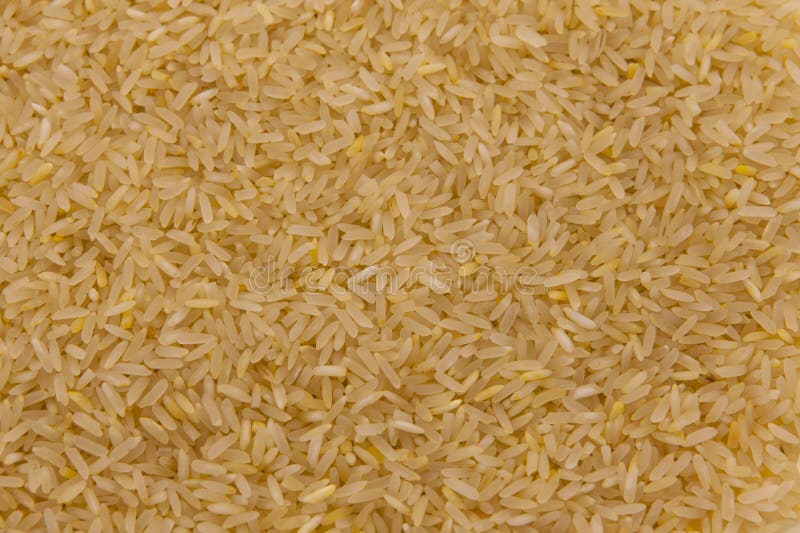 Close-up of Raw Yellow Rice Grains Stock Image - Image of cheese, leaf ...