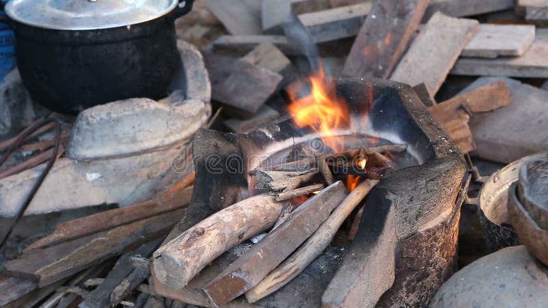 Traditional Way of Cooking Mussels with Salt, Pepper and Celery Stock ...
