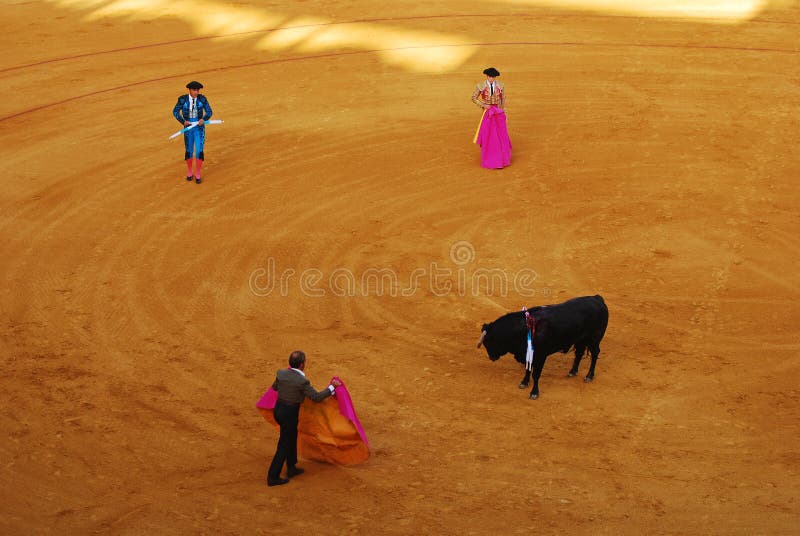 Traditional Corrida Bullfighting in Spain Editorial Photography - Image ...