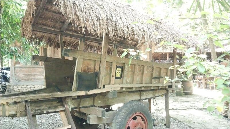 Traditional Cow Drawn Carriage Stock Photo - Image of vehicle, wheel ...