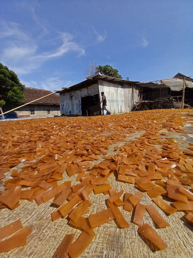 Traditional Cracker Production Under the Sun Editorial Photo - Image of ...