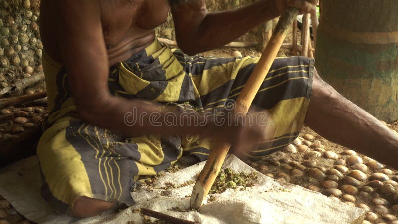 Traditional Craft: Hand-Processing Ceylon Cinnamon Stock Footage ...