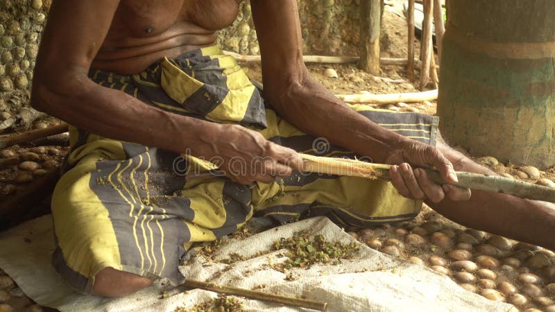 Traditional Craft: Hand-Processing Ceylon Cinnamon Stock Footage ...