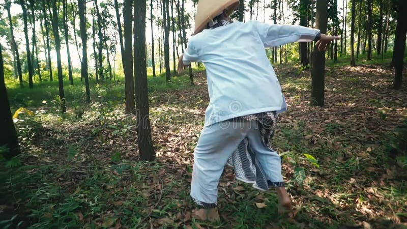 Traditional Dance Performance in a Lush Forest Stock Video - Video of ...