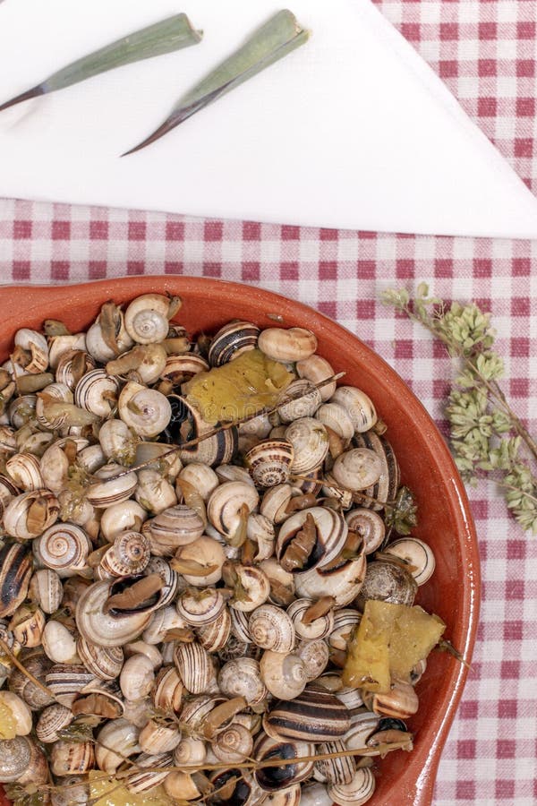 Traditional Dish of Cooked Snails Stock Image - Image of portion, fresh ...