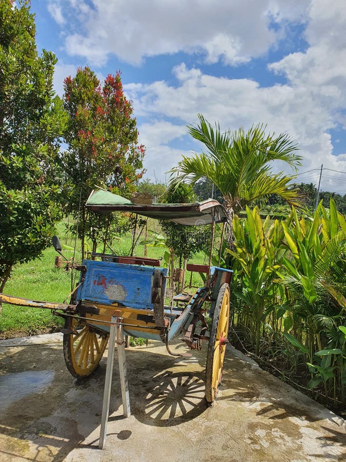 Traditional Dokar from Indonesia Etnic Stock Photo - Image of ...