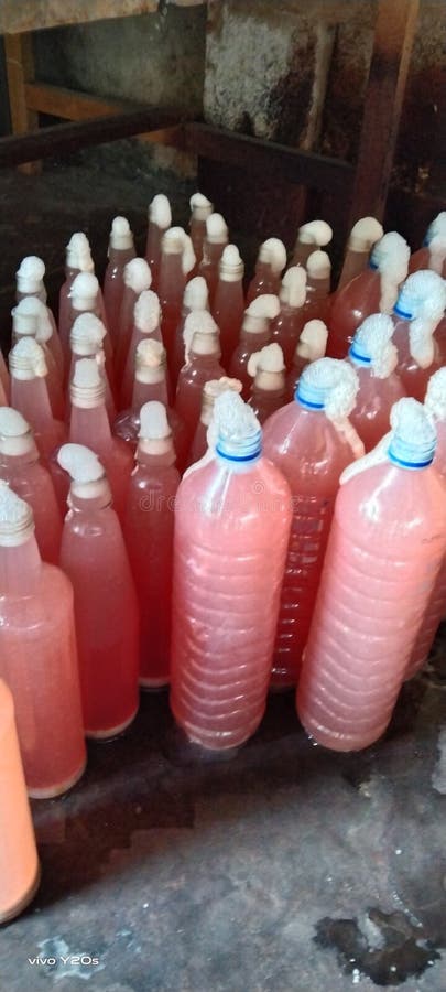 Traditional Drink stock photo. Image of call, popular - 263289540